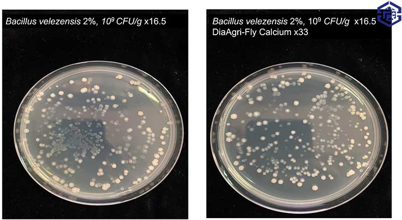 Fly Calcium – Drone Fertilizer & Amino Acid Fertilizer Manufacturer ...