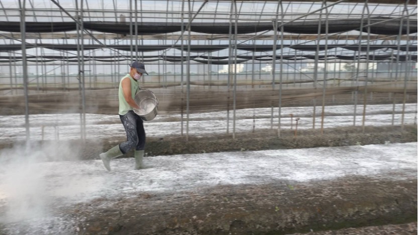 酸性土壤改良劑、防曬資材 | 專業奈米碳酸鈣製造商 | 台茂寬騰