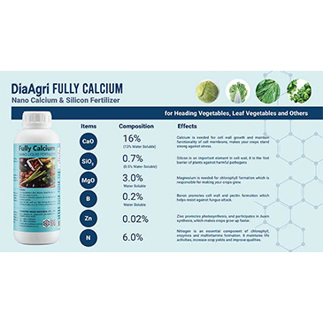 豐麗鈣｜葡萄肥料・蔬菜用肥料・液態氮肥製造商｜台茂寬騰